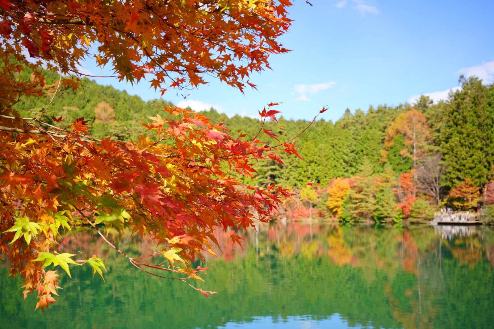 Case Report JMECCに参加する2年目研修医の1例 - 山梨共立グループ採用サイト ｜ 山梨県民主医療機関連合会